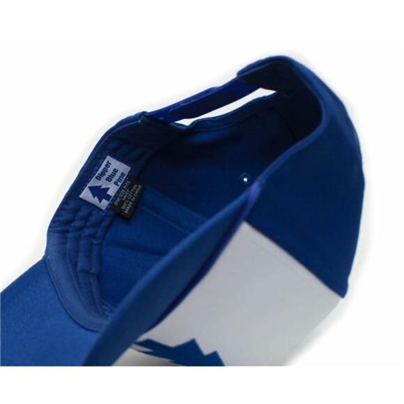 Accessories | Gravity Falls Cartoon Dipper Blue Pine Hat Embroidered ...